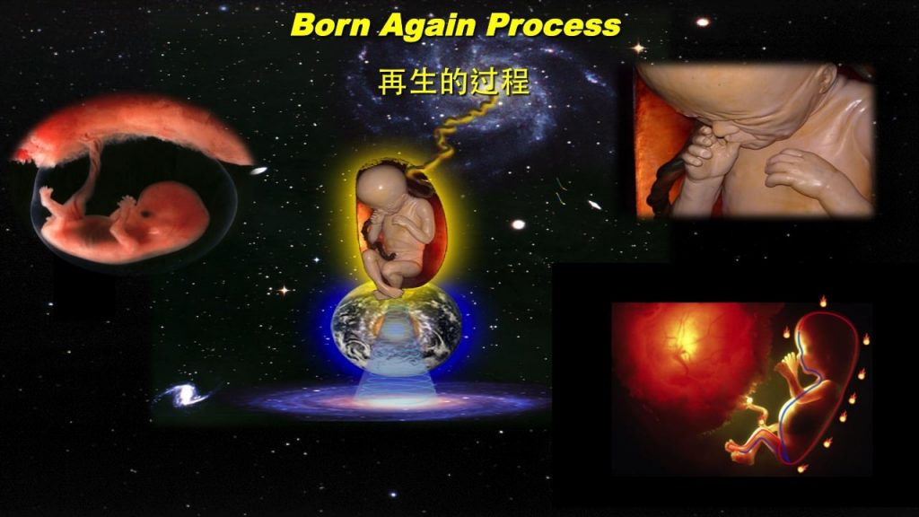 Develop Chi The Taoist Way Universal Healing Tao | Mantakchia.com