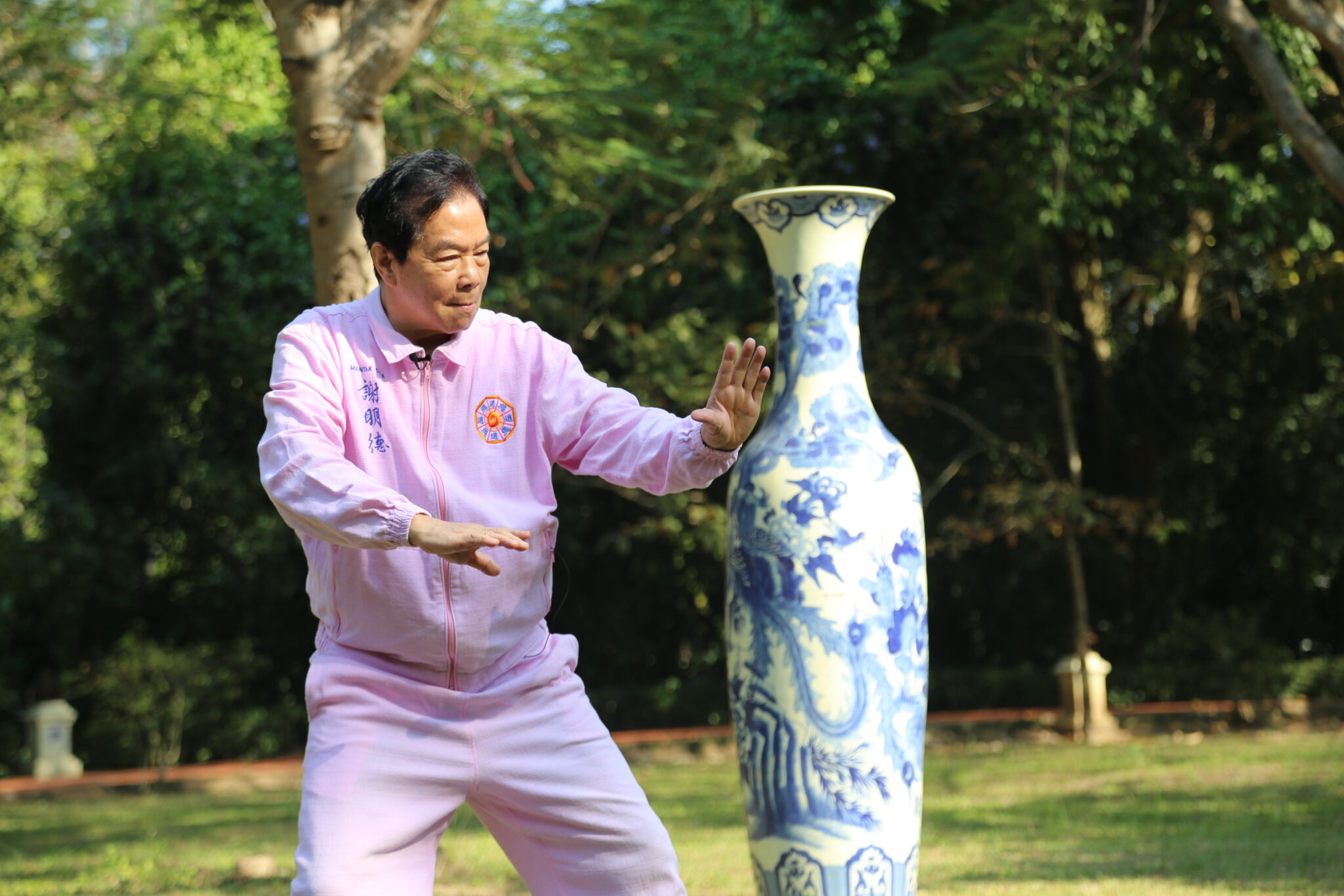 Wellness qigong: Taoist practices to strengthen your body | Mantak Chia